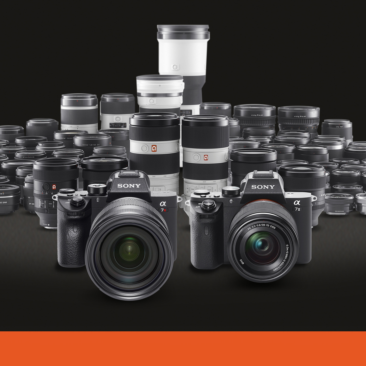 Ringfoto Meppel - De grootste fotozaak van het noorden