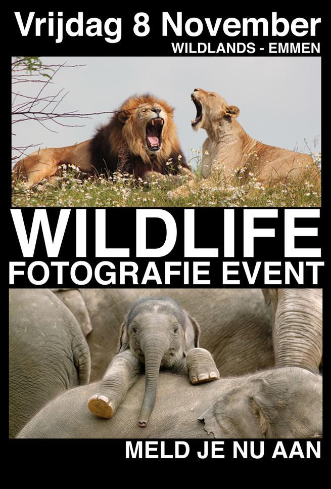 Ringfoto Meppel - De grootste fotozaak van het noorden